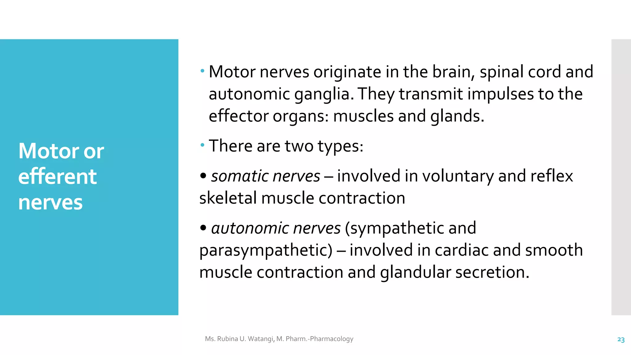 Nervous System.pptx