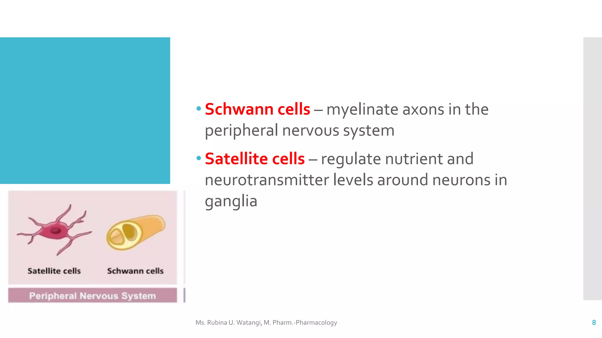 Nervous System Pptx Brain And Nervous System Disorders Diseases And Conditions