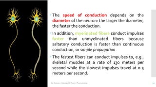 Nervous System.pptx | Brain and Nervous System Disorders | Diseases and ...