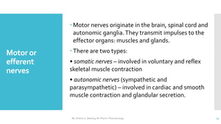 Nervous System.pptx