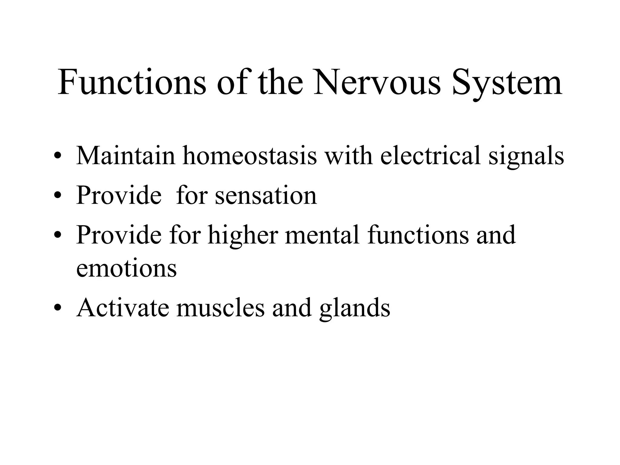 Nervous System.ppt