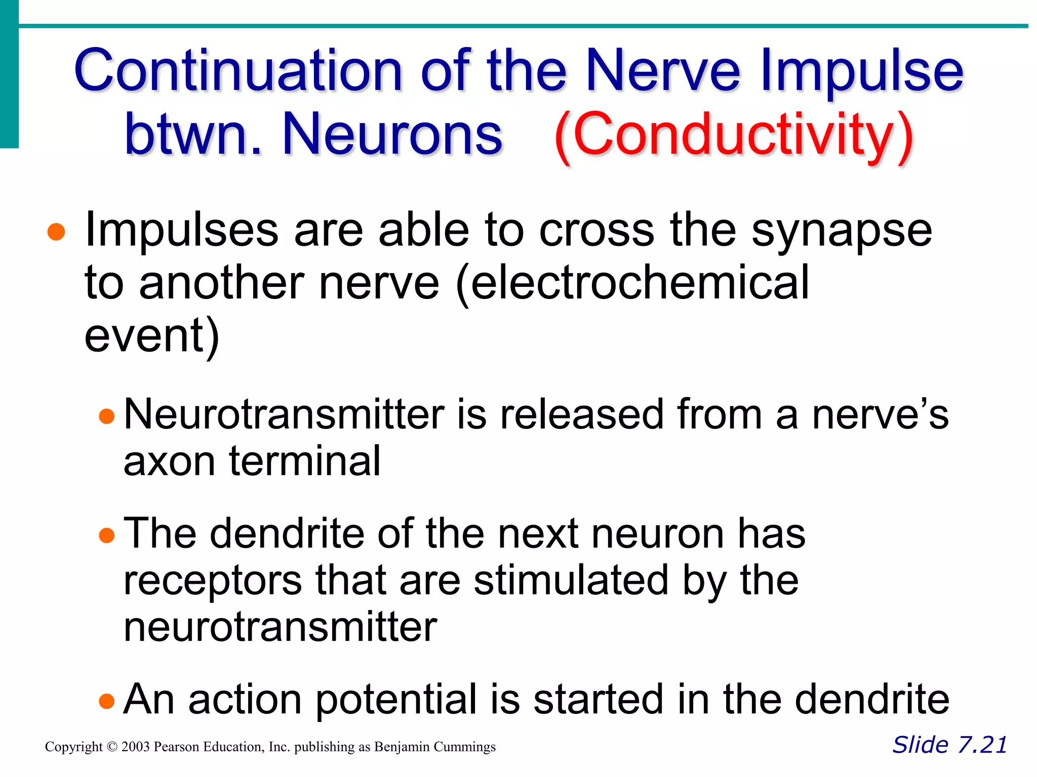 Nervous System.ppt