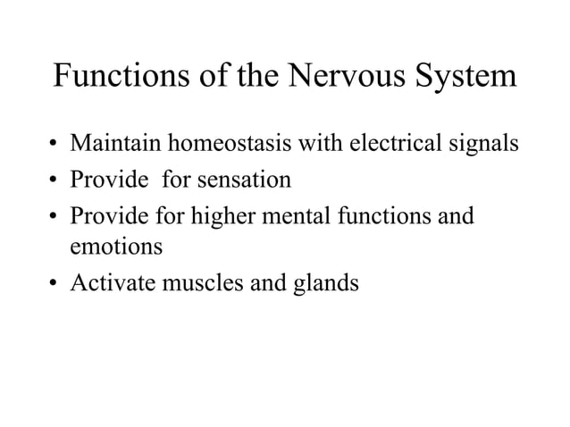 Nervous System.ppt