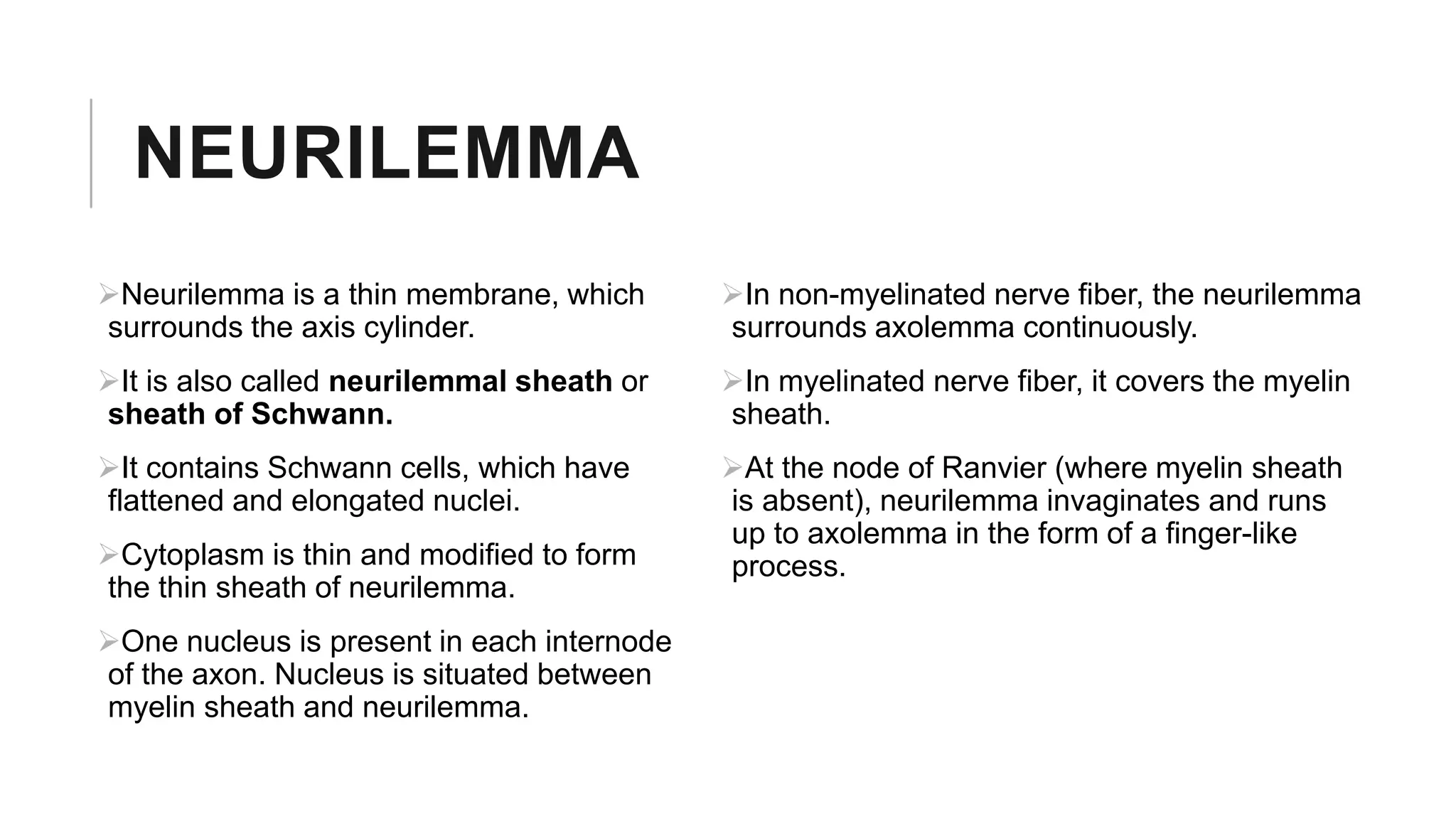 Nervous system.pdf