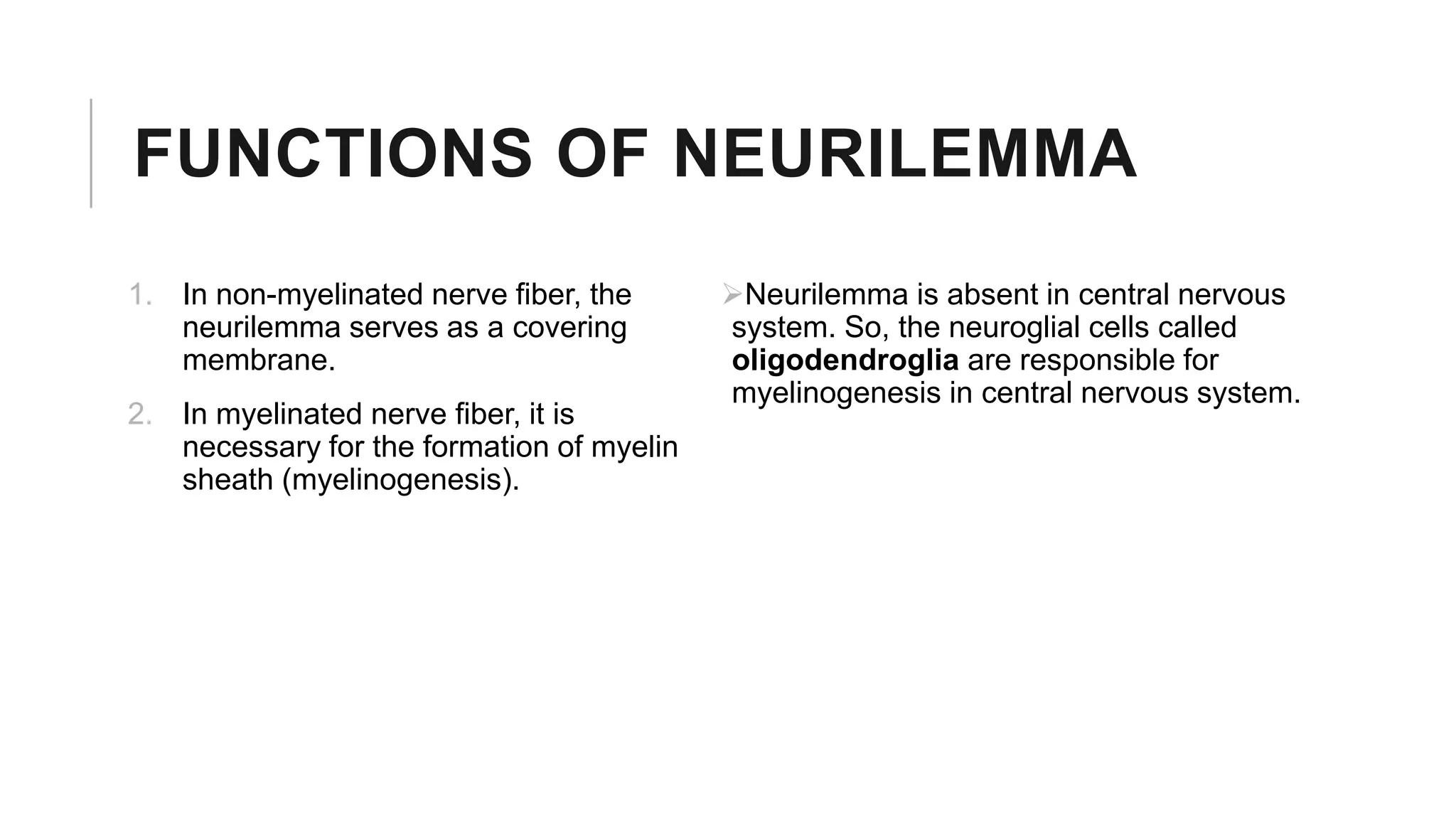 Nervous system.pdf