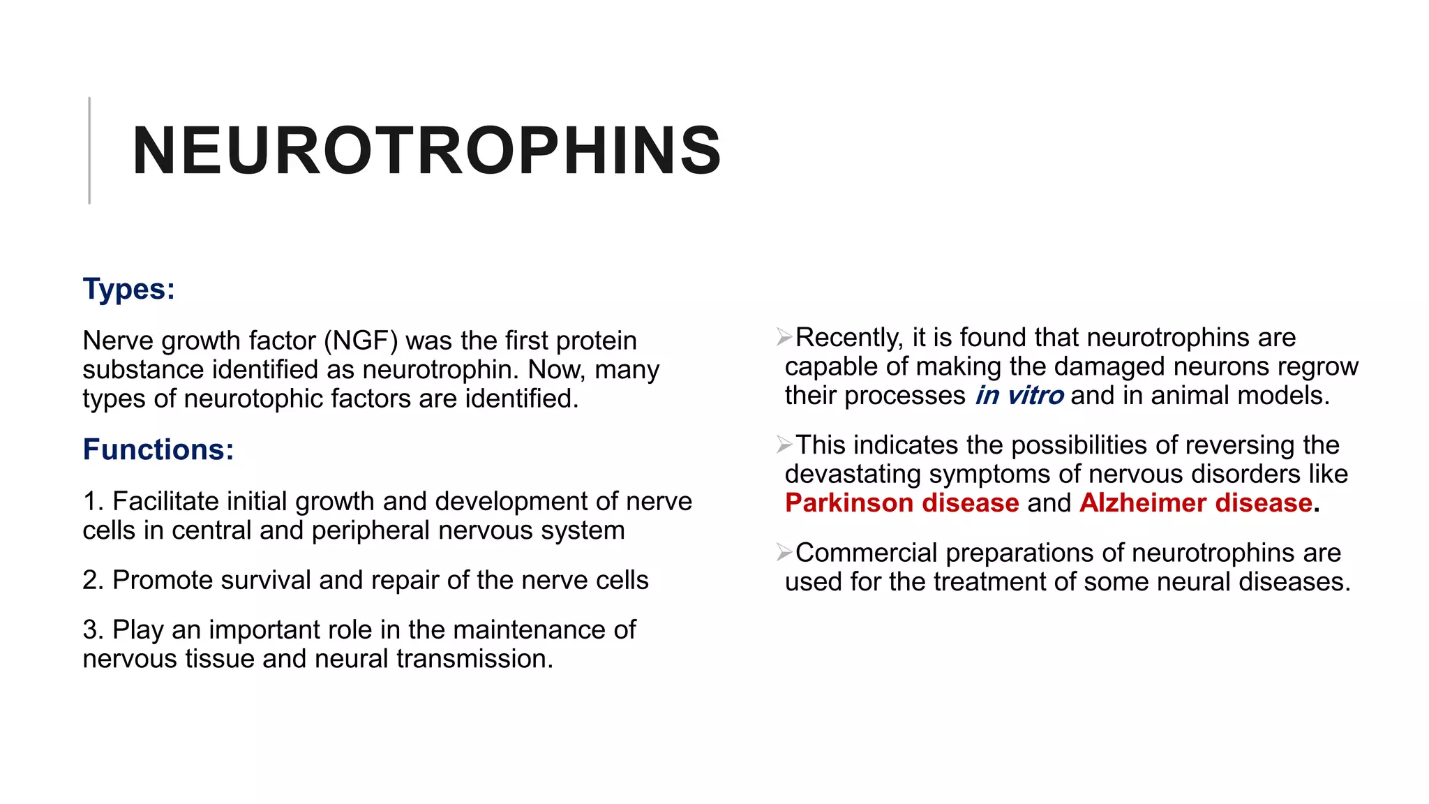 Nervous system.pdf