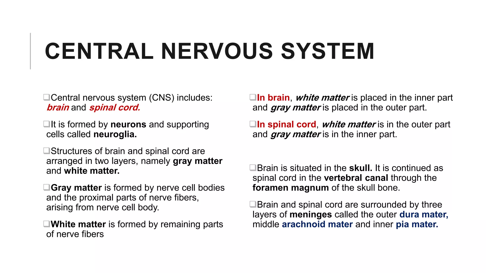 Nervous system.pdf