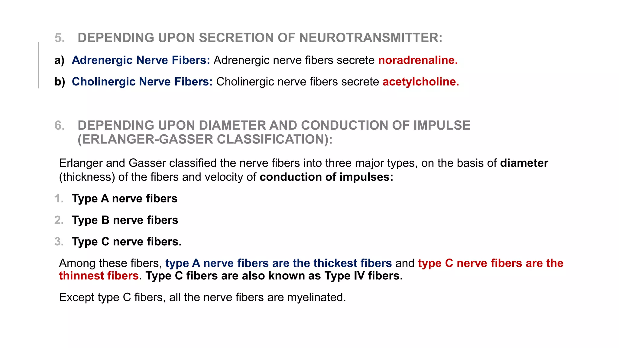 Nervous system.pdf