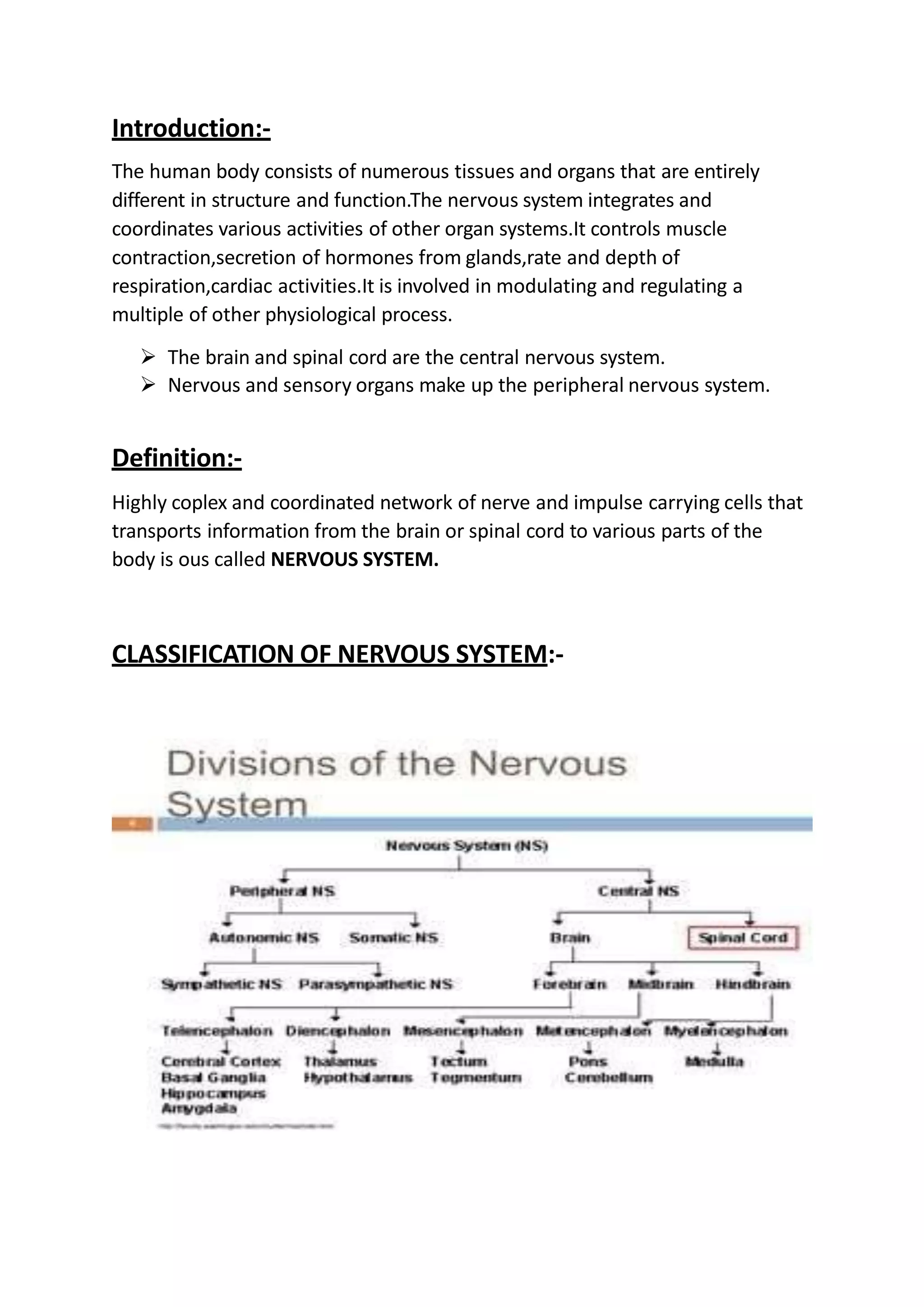 NERVOUS_SYSTEM.pptx