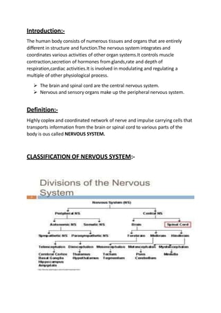 NERVOUS_SYSTEM.pptx