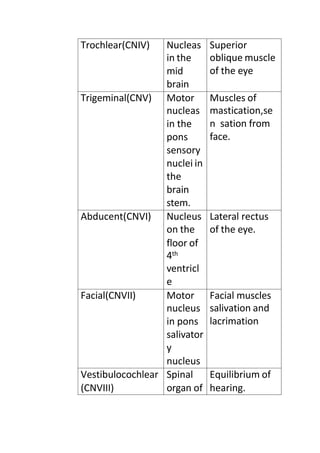 NERVOUS_SYSTEM.pptx