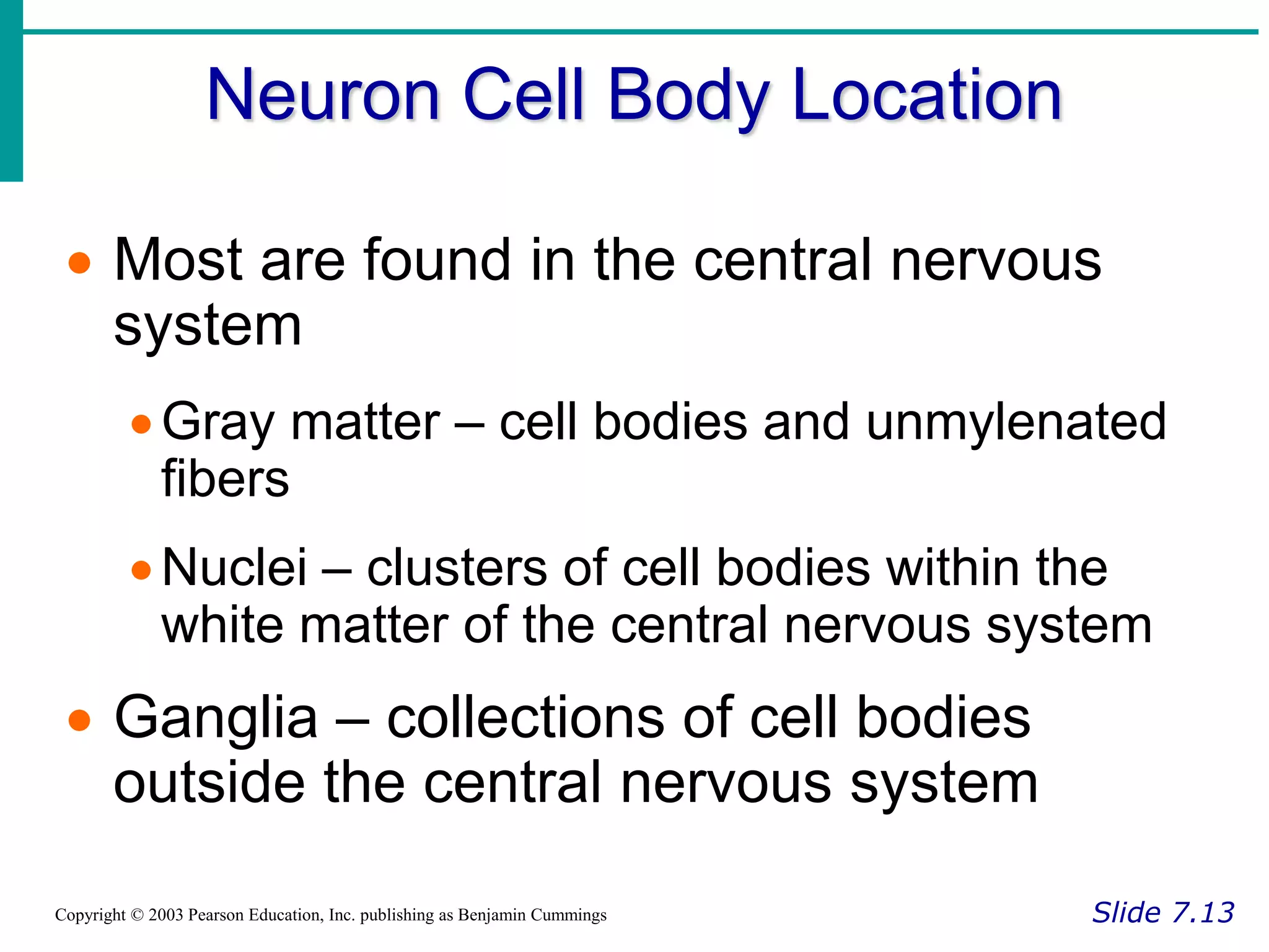 Nervous System.ppt