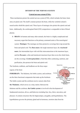 Nervous system.docx