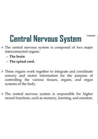 NERVOUS SYSTEM.pdf