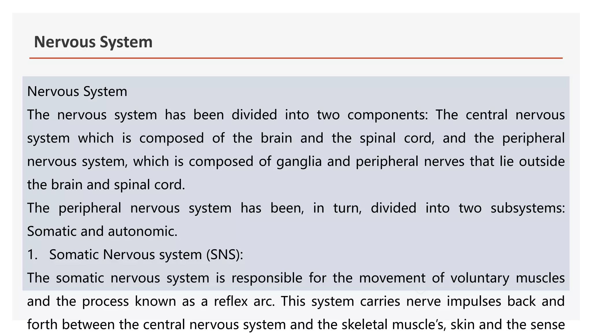 Nervous System.pptx