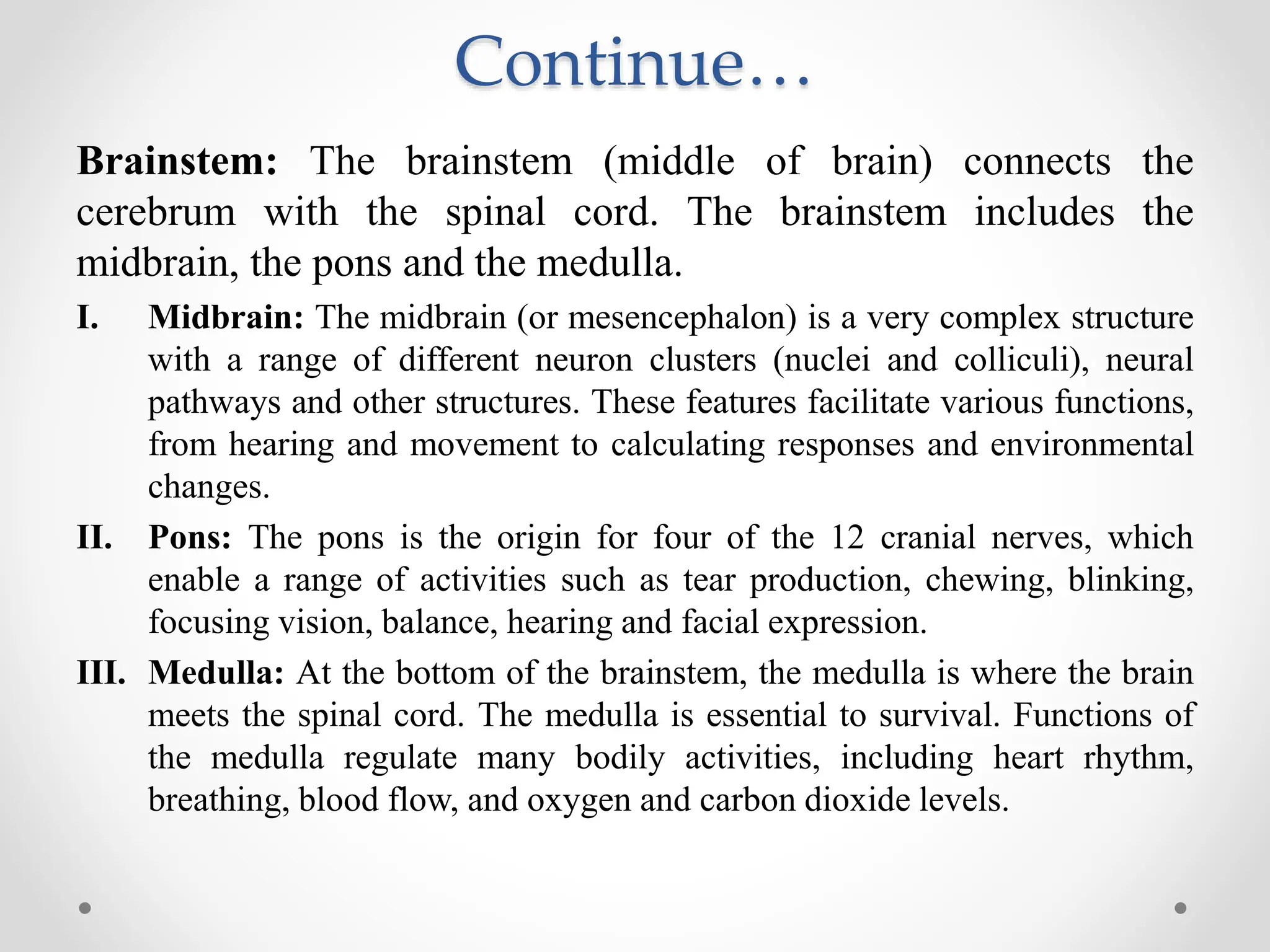 Nervous System.pptx