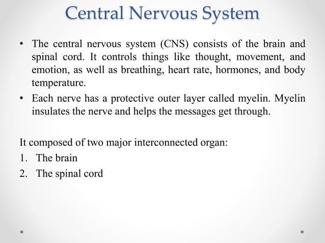 Nervous System.pptx