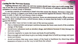 Nervous System.pptx