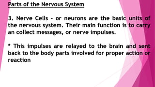 Nervous System.pptx