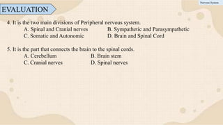Nervous System.pptx