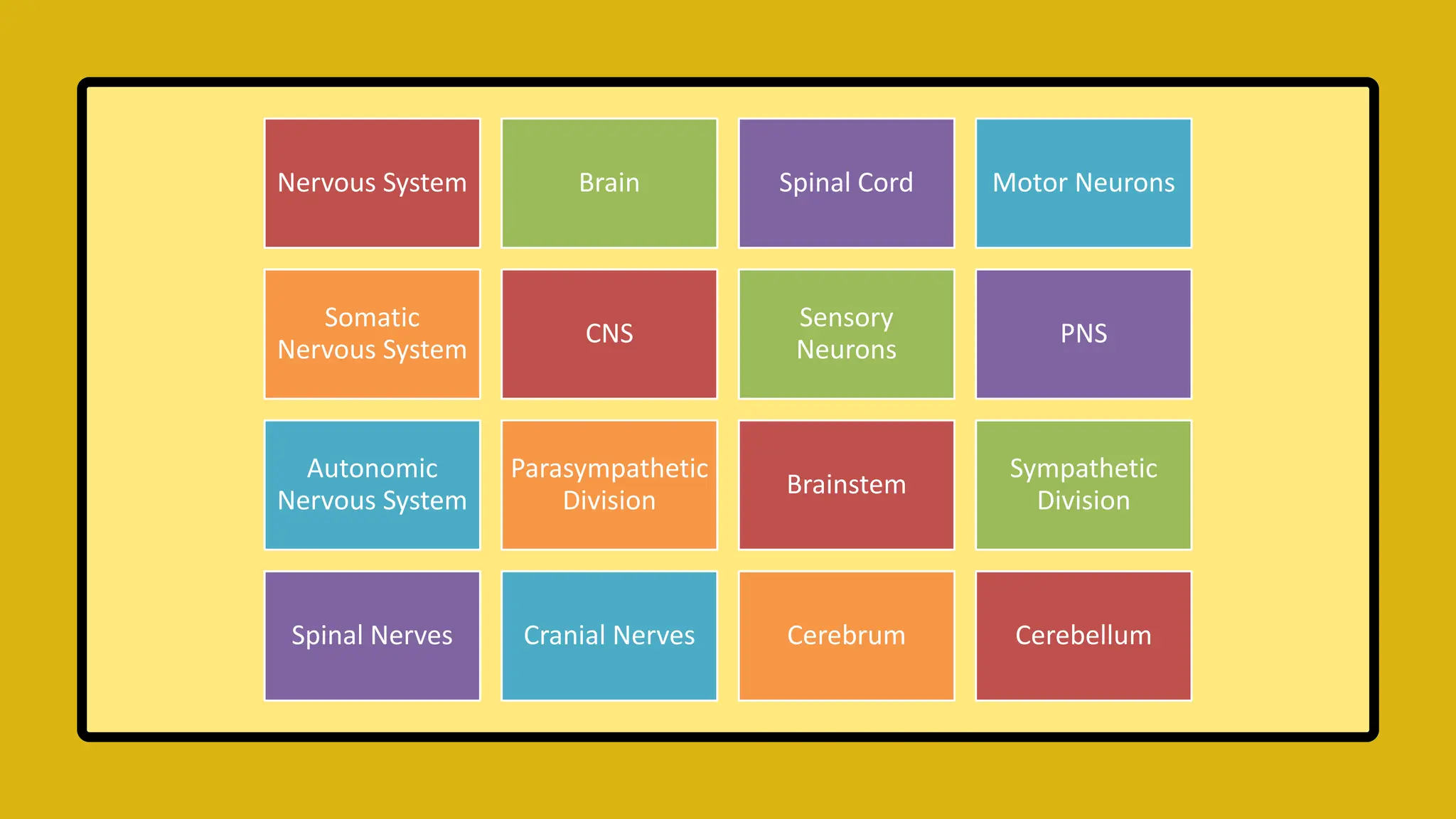Nervous System Parts and Functions Grade 10 Science.pptx