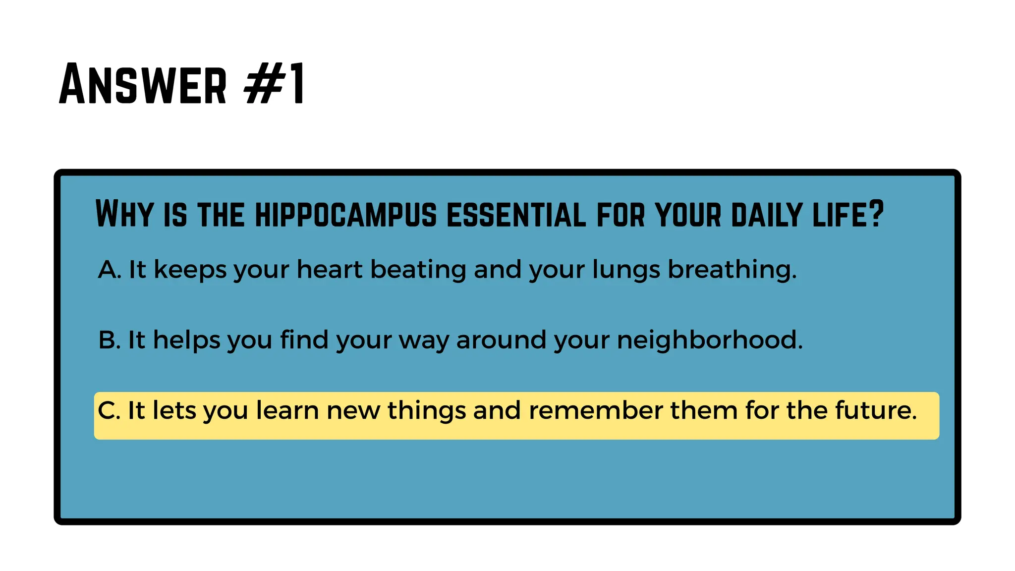 Nervous System Parts and Functions Grade 10 Science.pptx