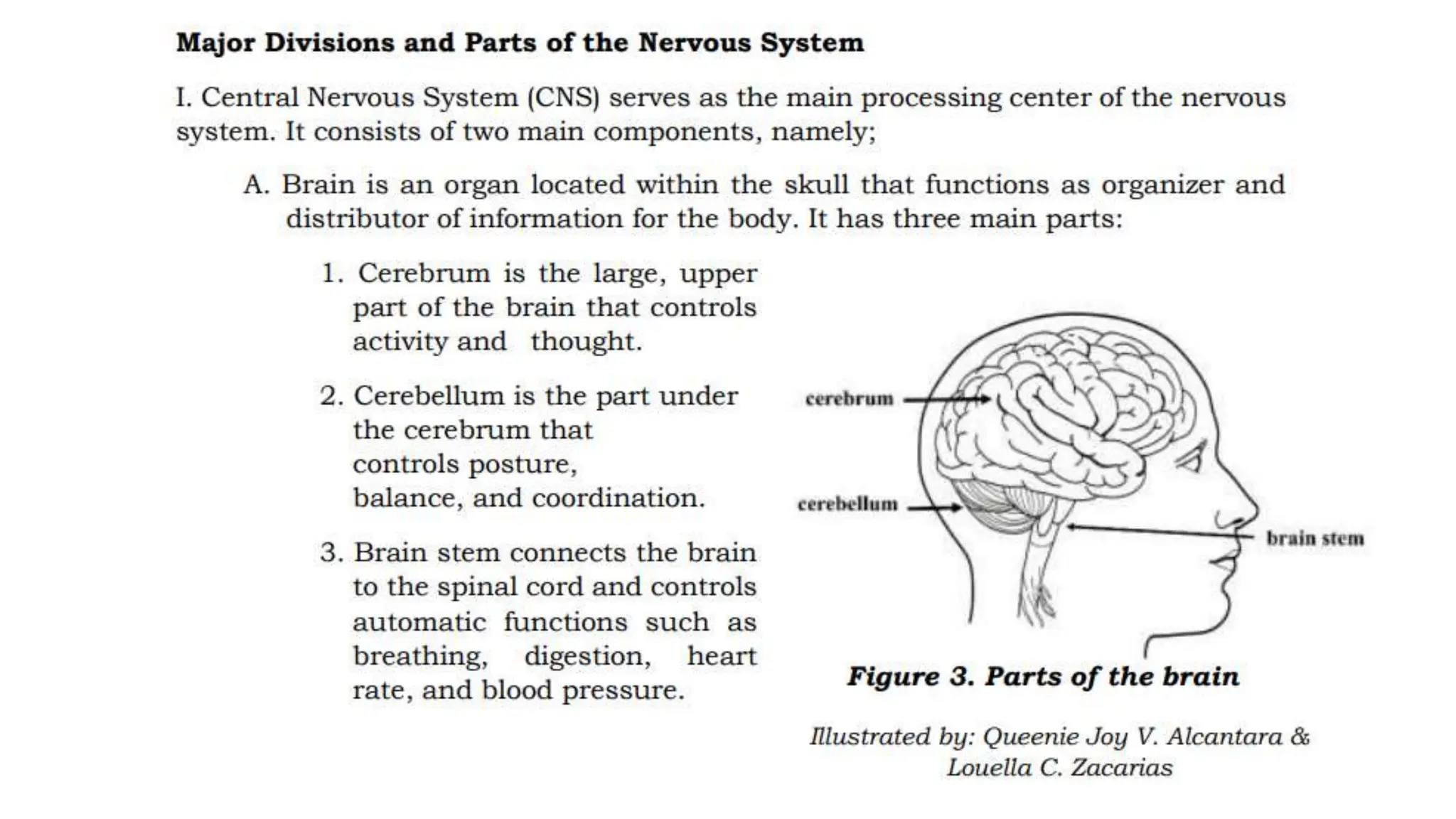 NERVOUS SYSTEM.pptx tdtffykgygigguiggugiug | PPTX