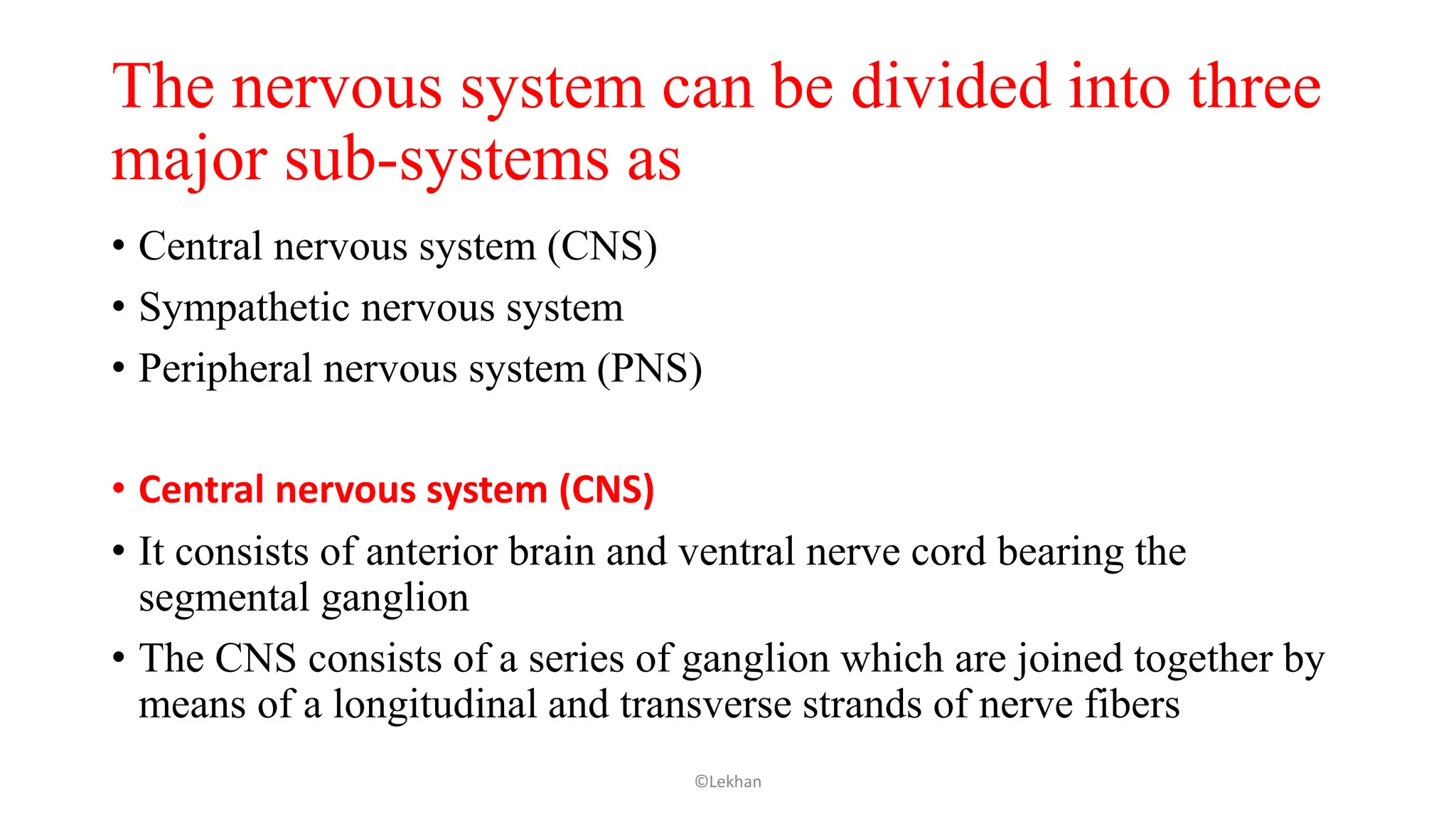 Nervous system of Insects | Insect brain | PPTX