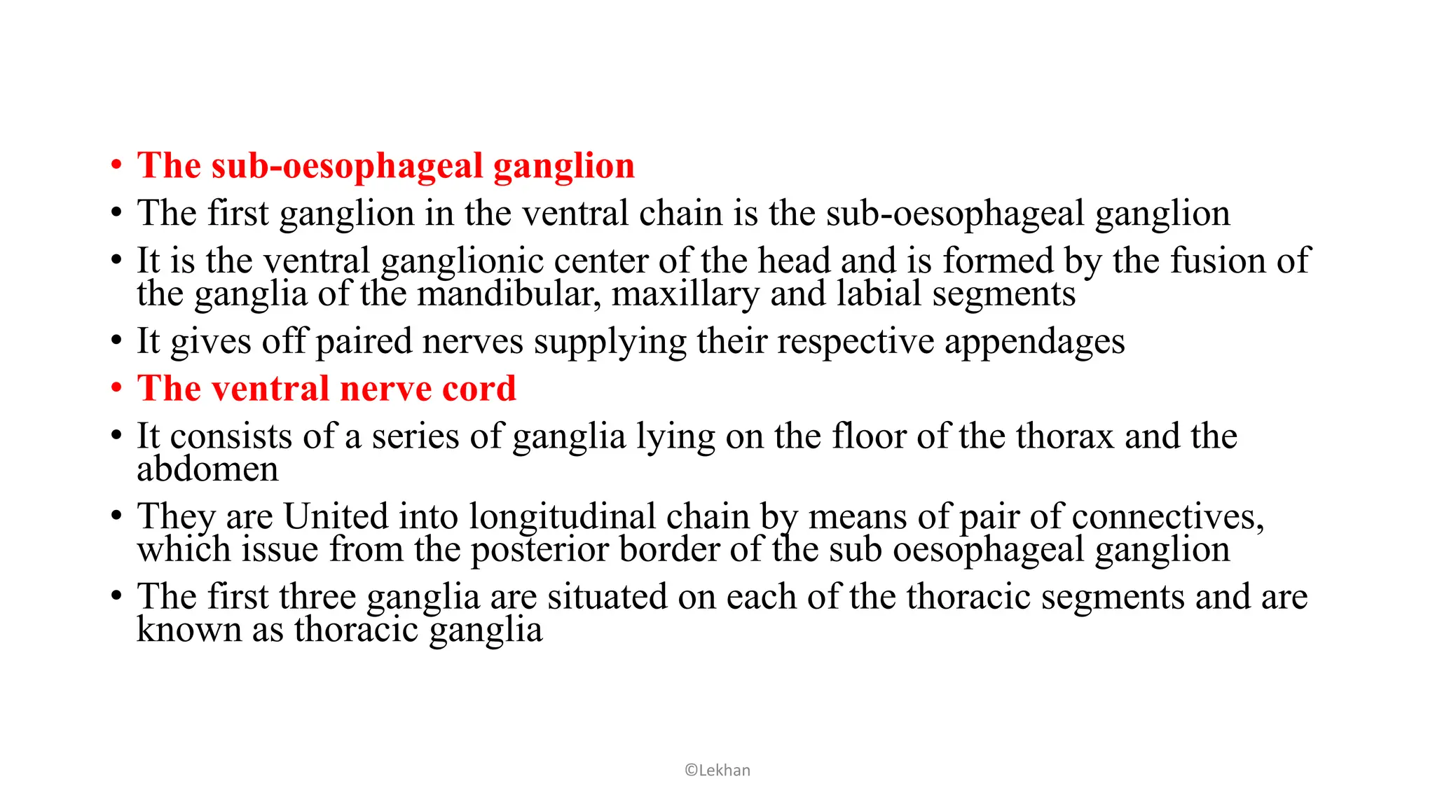Nervous system of Insects | Insect brain | PPTX