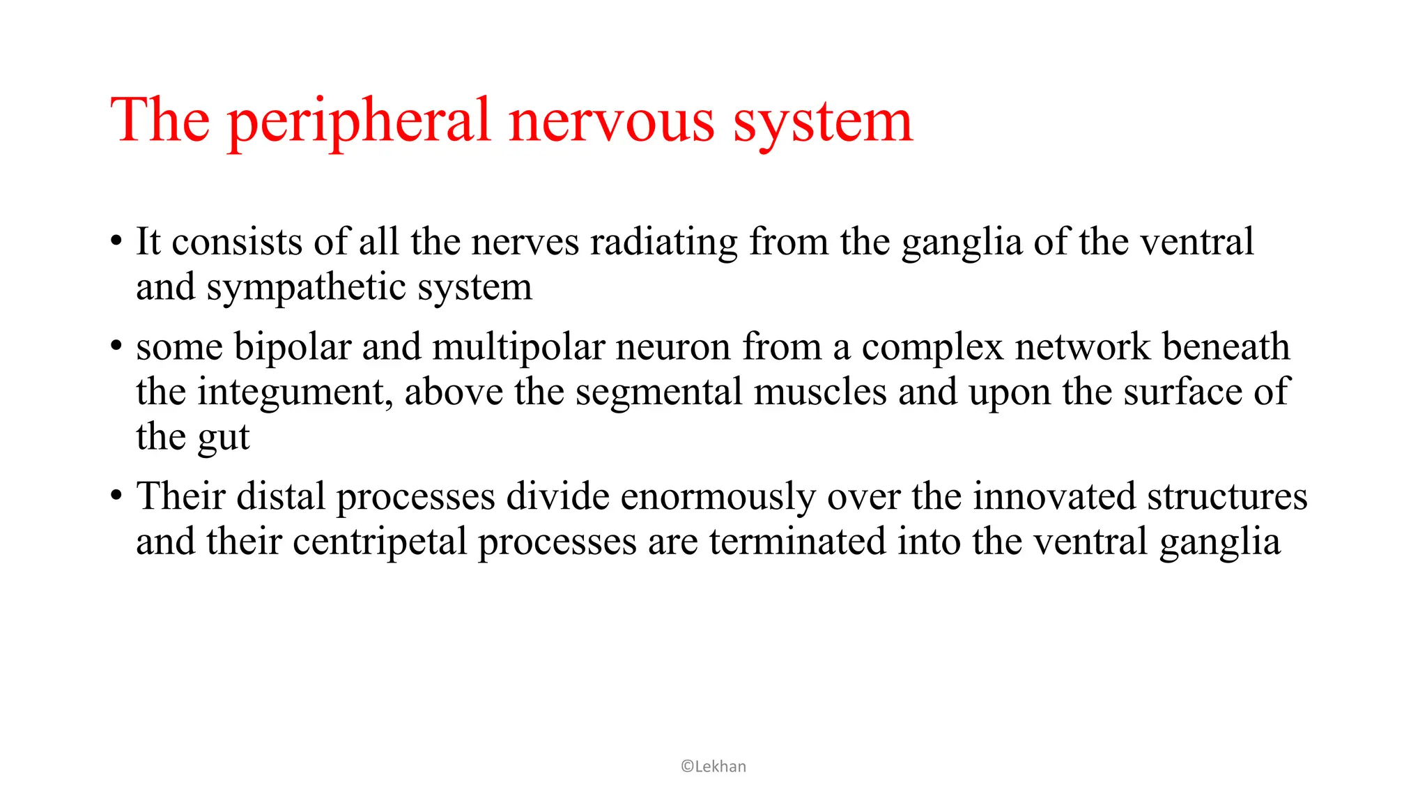 Nervous system of Insects | Insect brain | PPTX