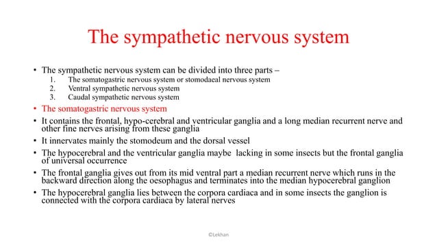 Nervous system of Insects | Insect brain | PPTX | Brain and Nervous ...