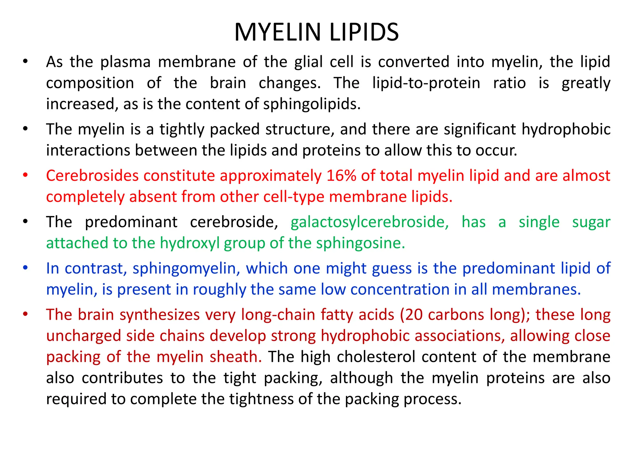 Nervous system.pdfndfljgnrljgnrslgnrlgkrdge | PDF