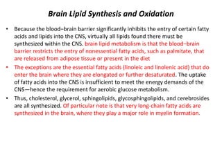 Nervous system.pdfndfljgnrljgnrslgnrlgkrdge | PDF