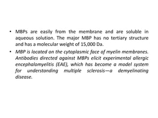 Nervous system.pdfndfljgnrljgnrslgnrlgkrdge | PDF