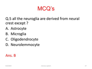 nervous system - general anatomy presentation | PPT