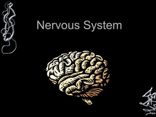 Nervous_System and its explanation each. | PPT