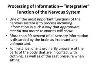 nervous system for 1st bhms students,,,, | PPTX