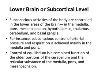 nervous system for 1st bhms students,,,, | PPTX