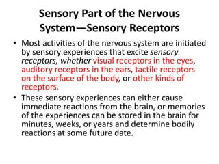 nervous system for 1st bhms students,,,, | PPTX