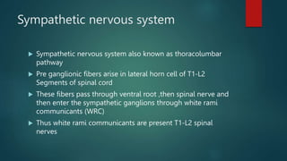NERVOUS SYSTEM.presentatation pptx...... | PPTX | Death, Injury, or Military Conflict ...