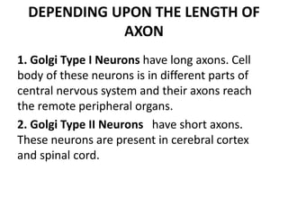 nervous system and different parts of brain.pptx
