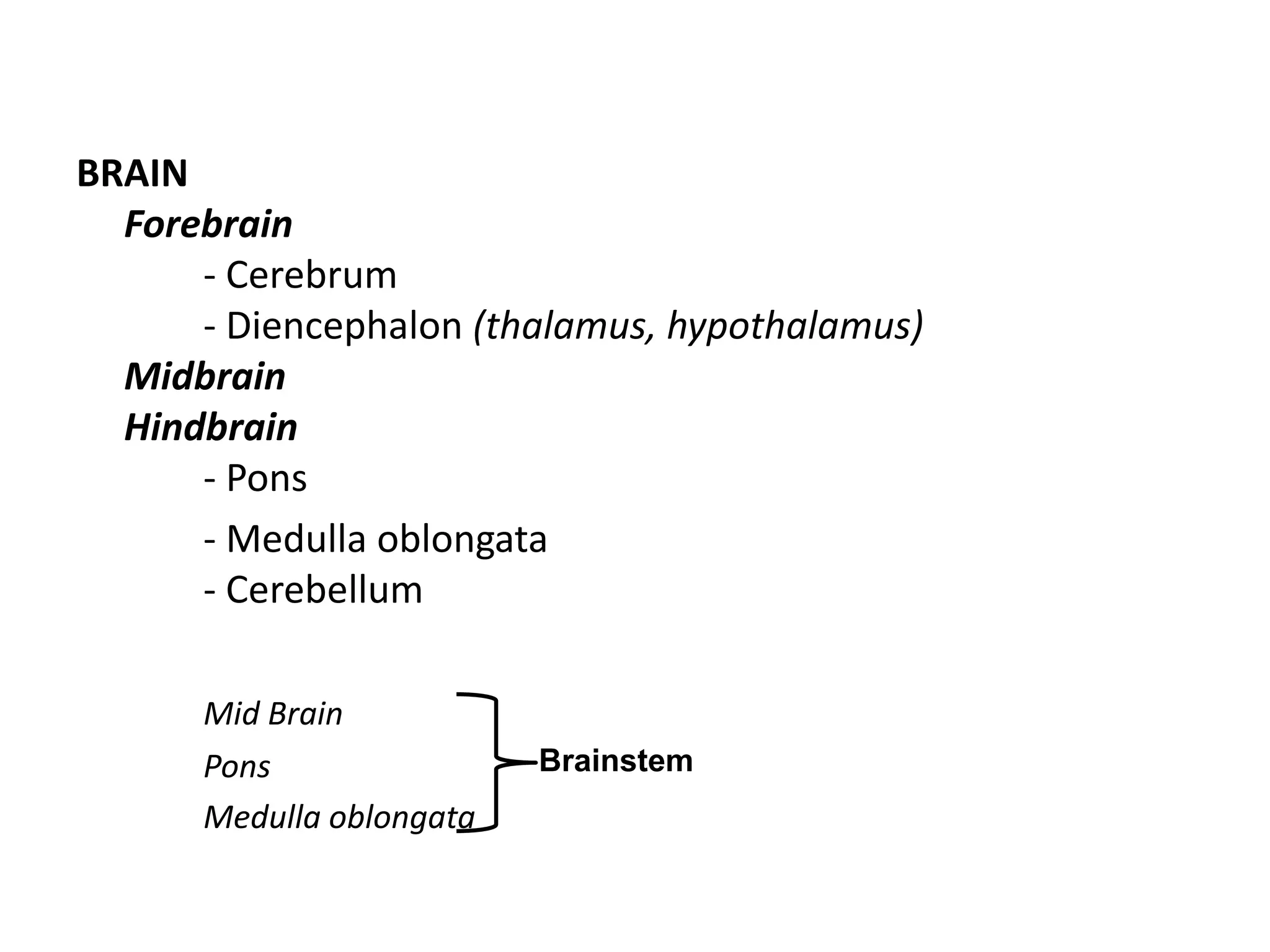 anatomy and physiology of Nervous system.ppt