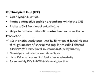 anatomy and physiology of Nervous system.ppt