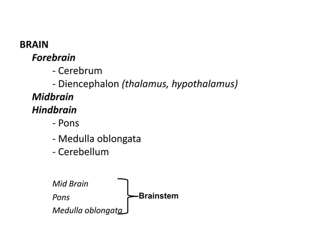 anatomy and physiology of Nervous system.ppt