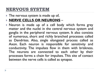 NERVOUS SYSTEM.PPT for medical study purpose | PDF