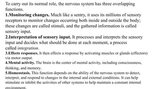 nervous system slides therapy Yogashastra | PPT