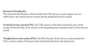 nervous system slides therapy Yogashastra | PPT