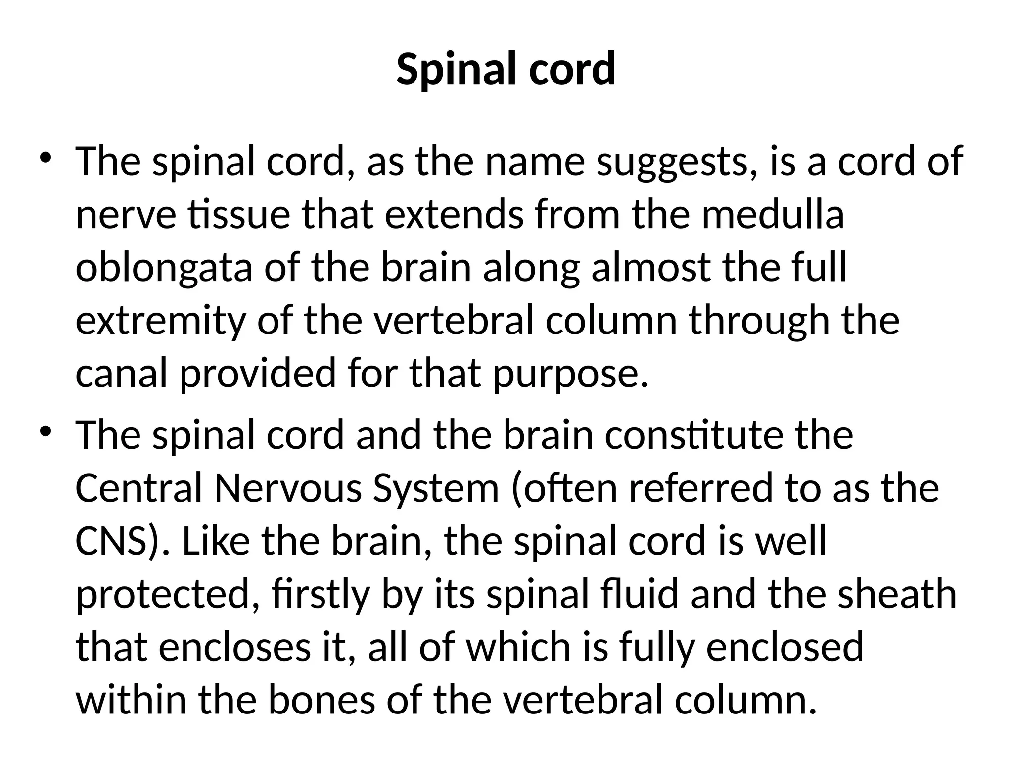 Nervous_System.pptx poultry physiology.. | PPTX