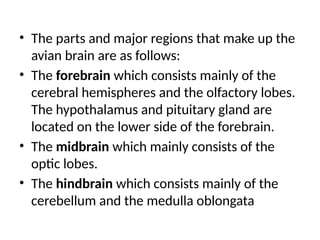 Nervous_System.pptx poultry physiology.. | PPTX