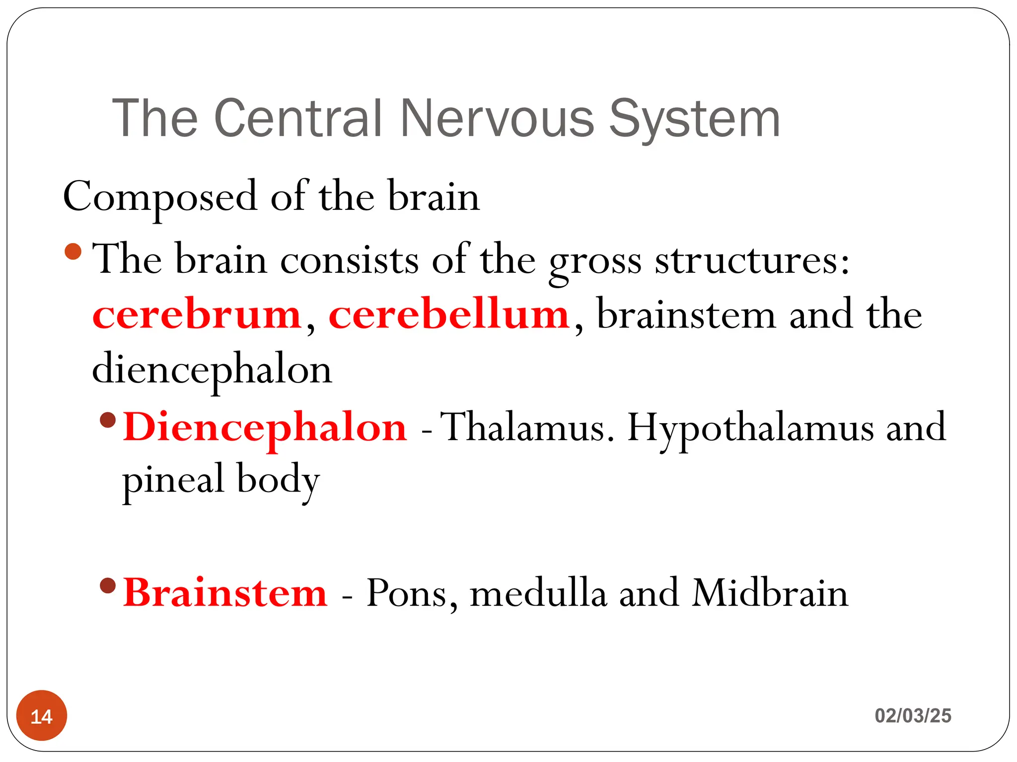 Nervous system physiology power point.ppt